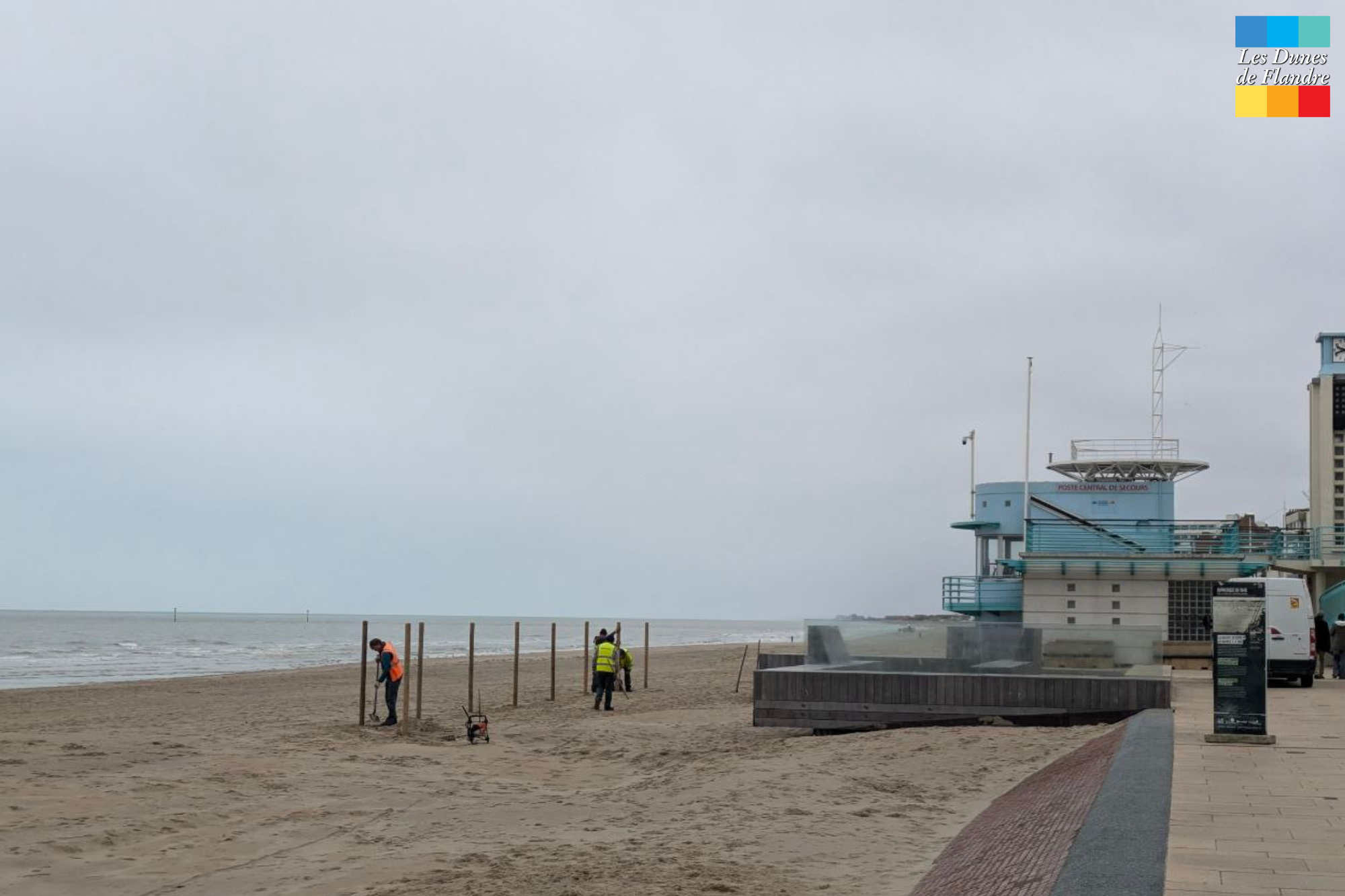 Les fascines ont retrouvé leur place sur notre littoral | Les Dunes de ...